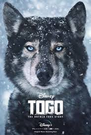 Togo - Thriller / Drama der 2010er - Deutschlands Medienforum für ...
